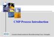 CMP Process Introduction - 豆丁网