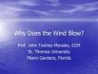 Why Does the Wind Blow - 豆丁网