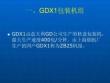 GDX1,2介绍.ppt - 豆丁网
