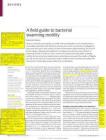 A field guide to bacterial swarming motility - 豆丁网